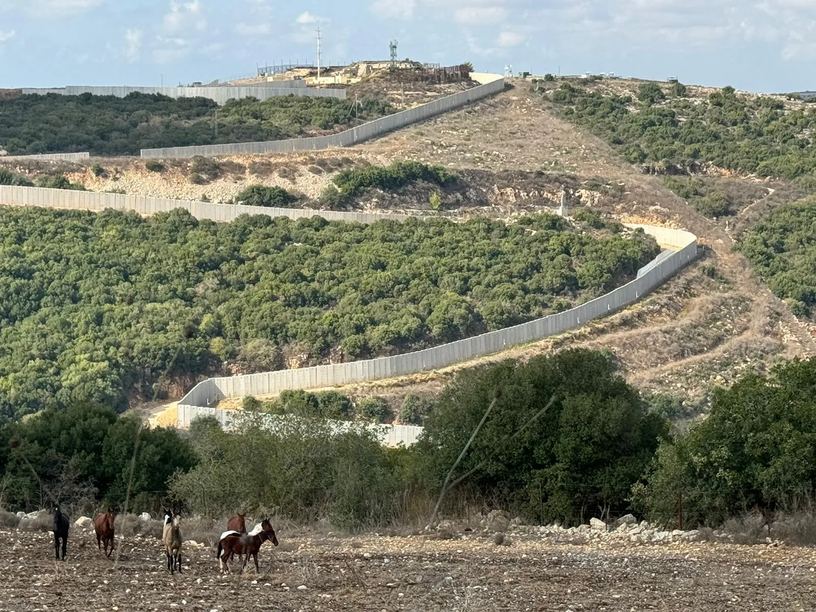 זו הסיבה שצהל לא מפרסם את מספר ההרוגים של חיזבאללה | חמל