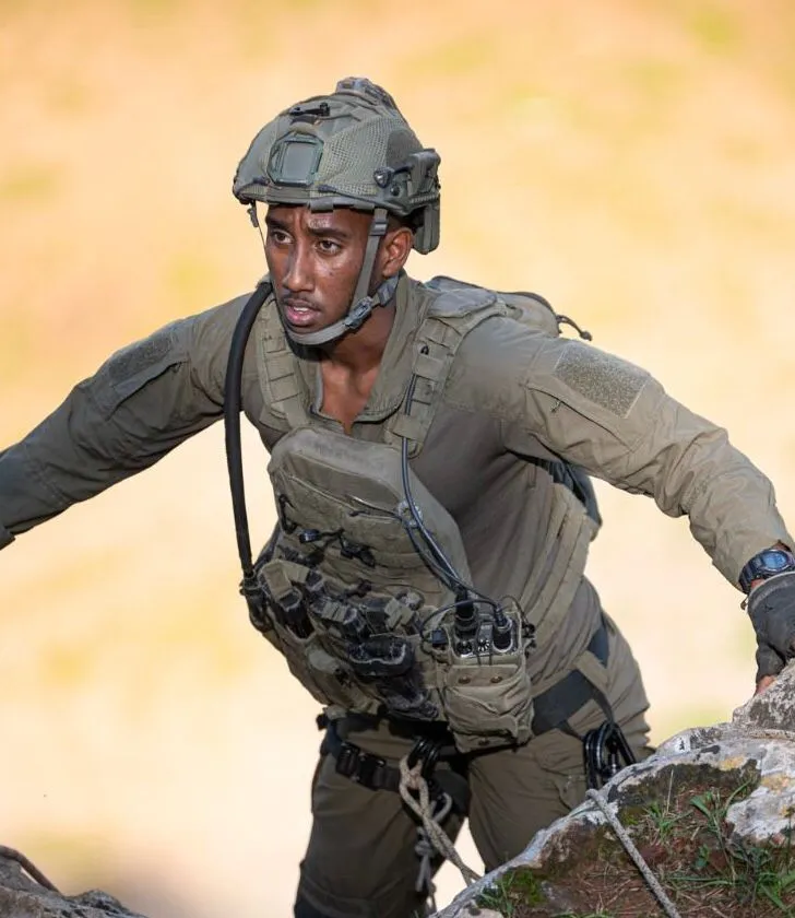 הותר לפרסום | חמל